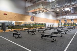Rockingham | Revo Fitness