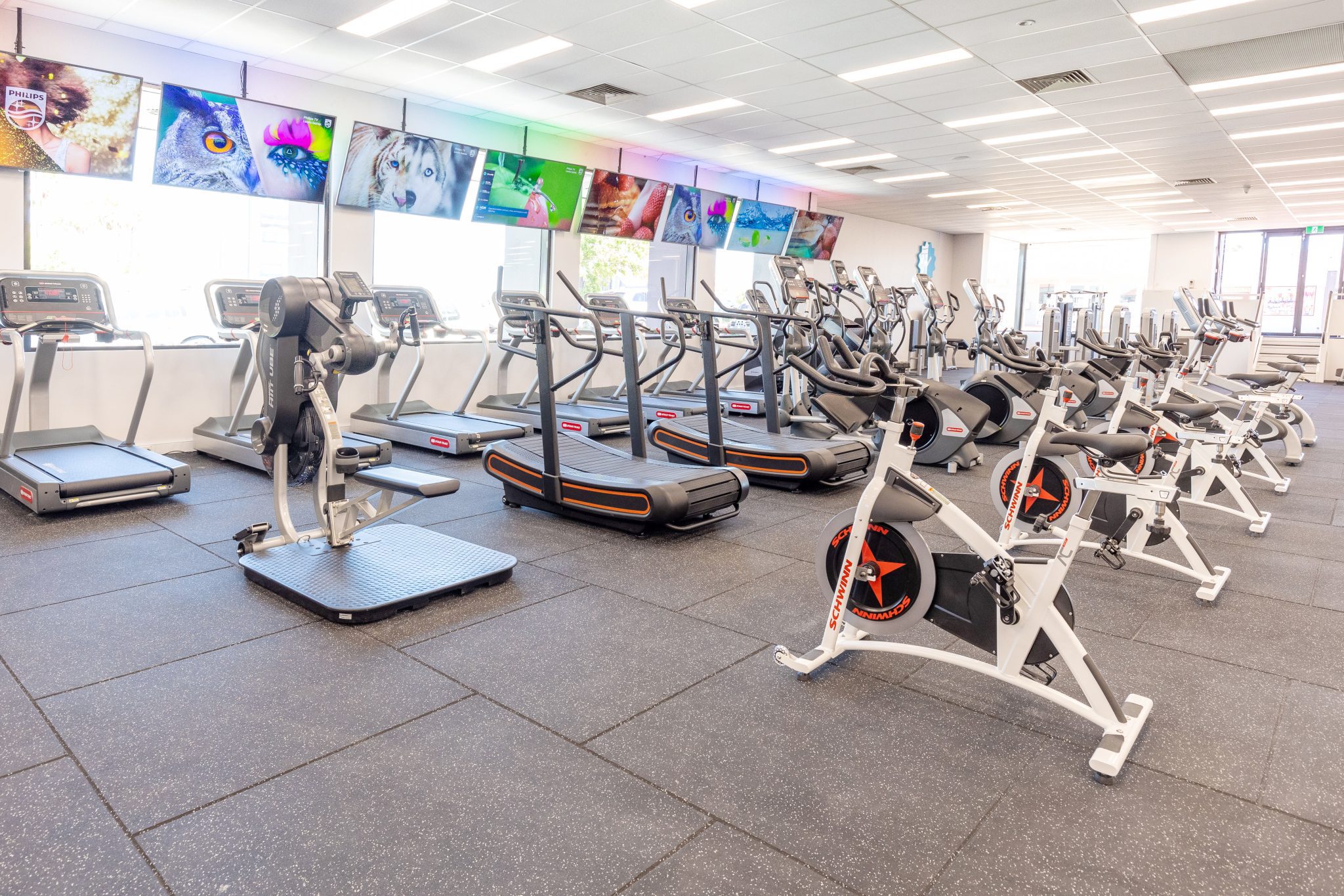 North Beach | Revo Fitness